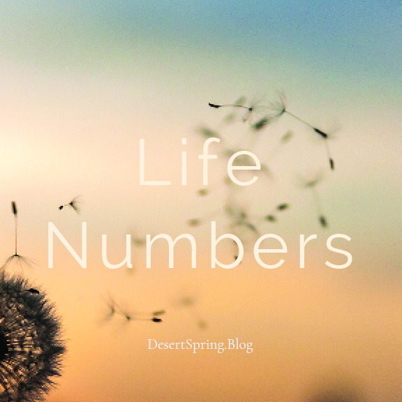 Life Numbers