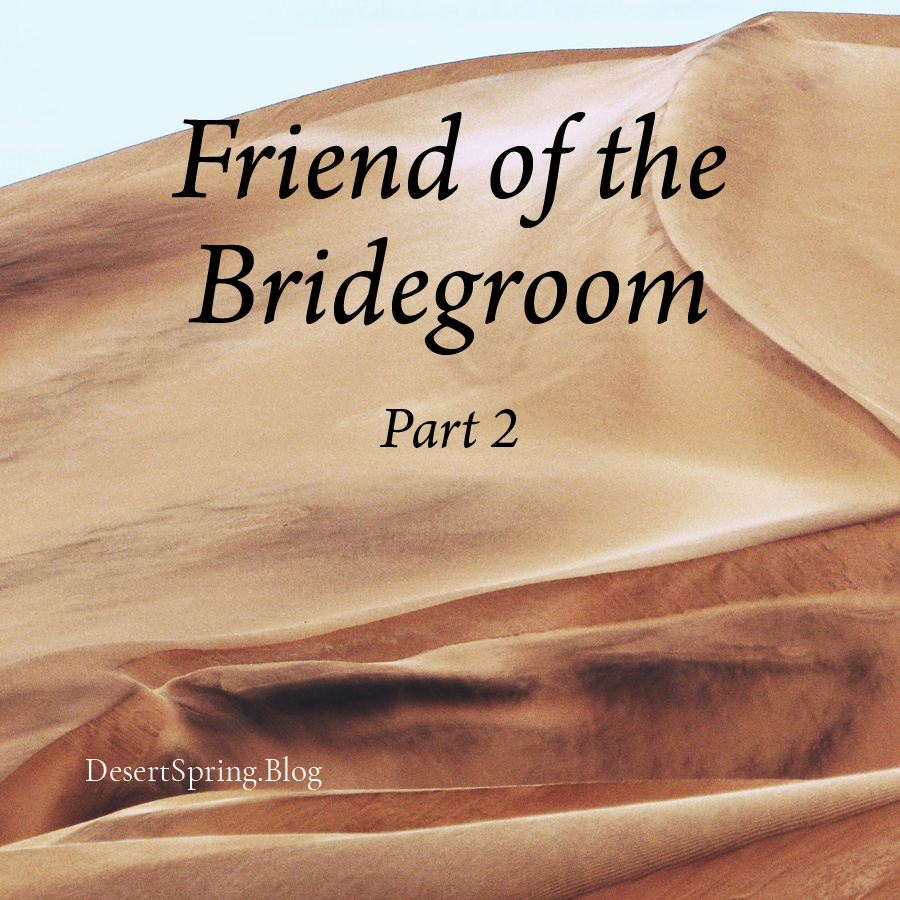 FRIEND OF THE BRIDEGROOM – Part 2
