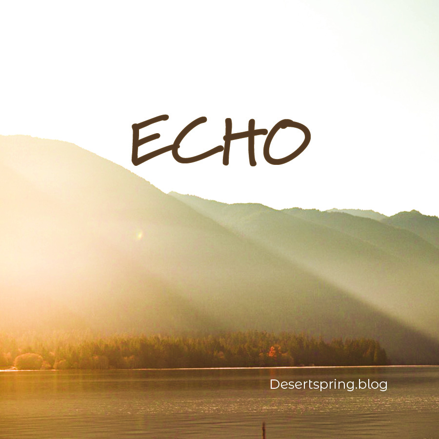Echo