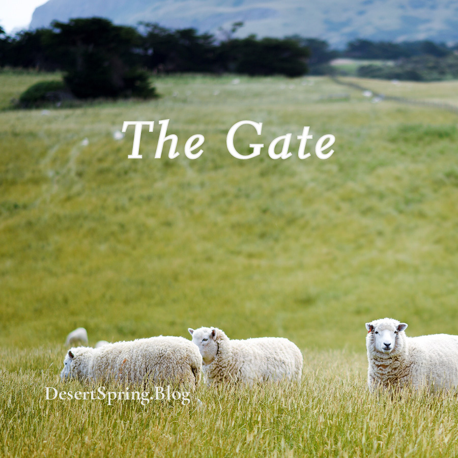 The Gate