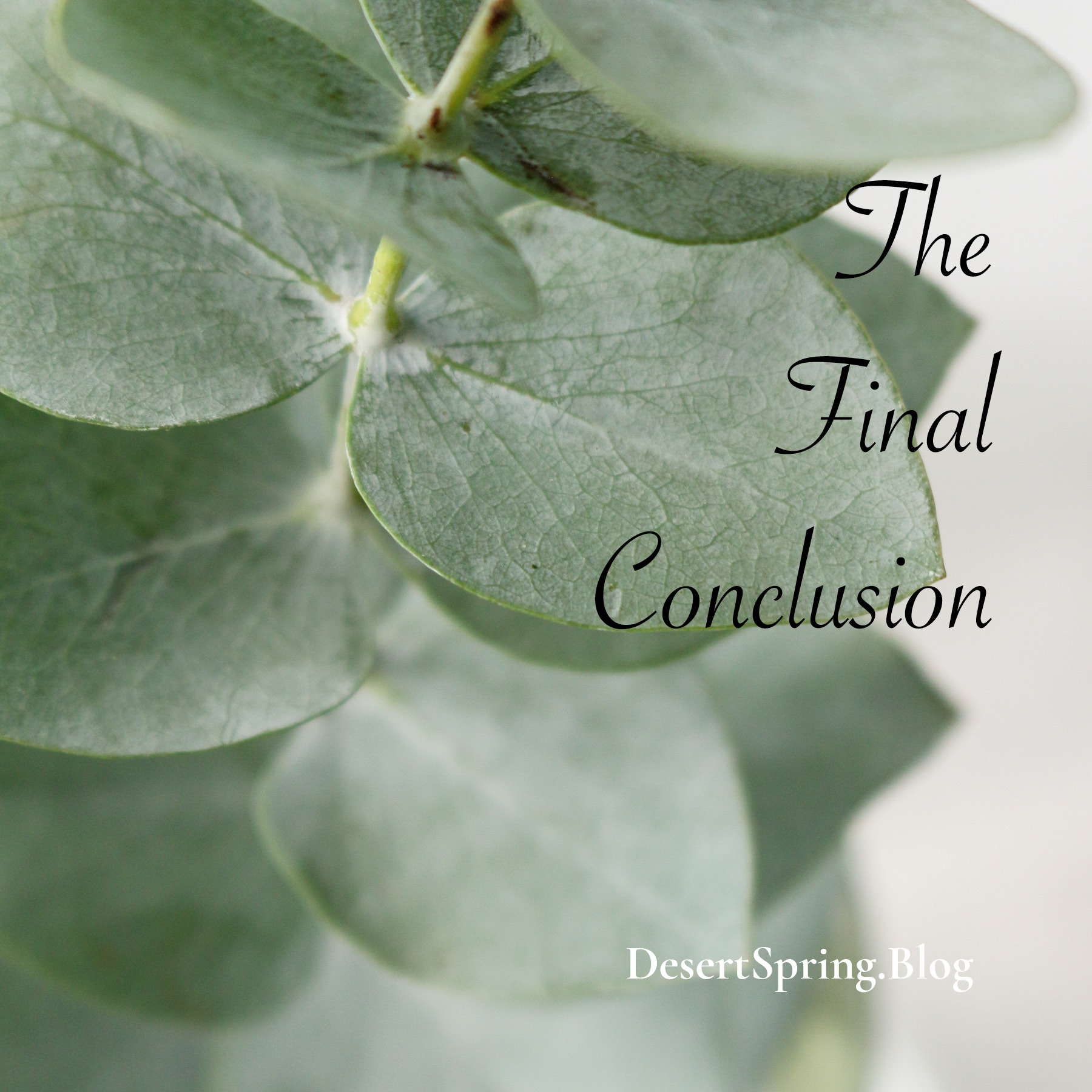 The Final Conclusion