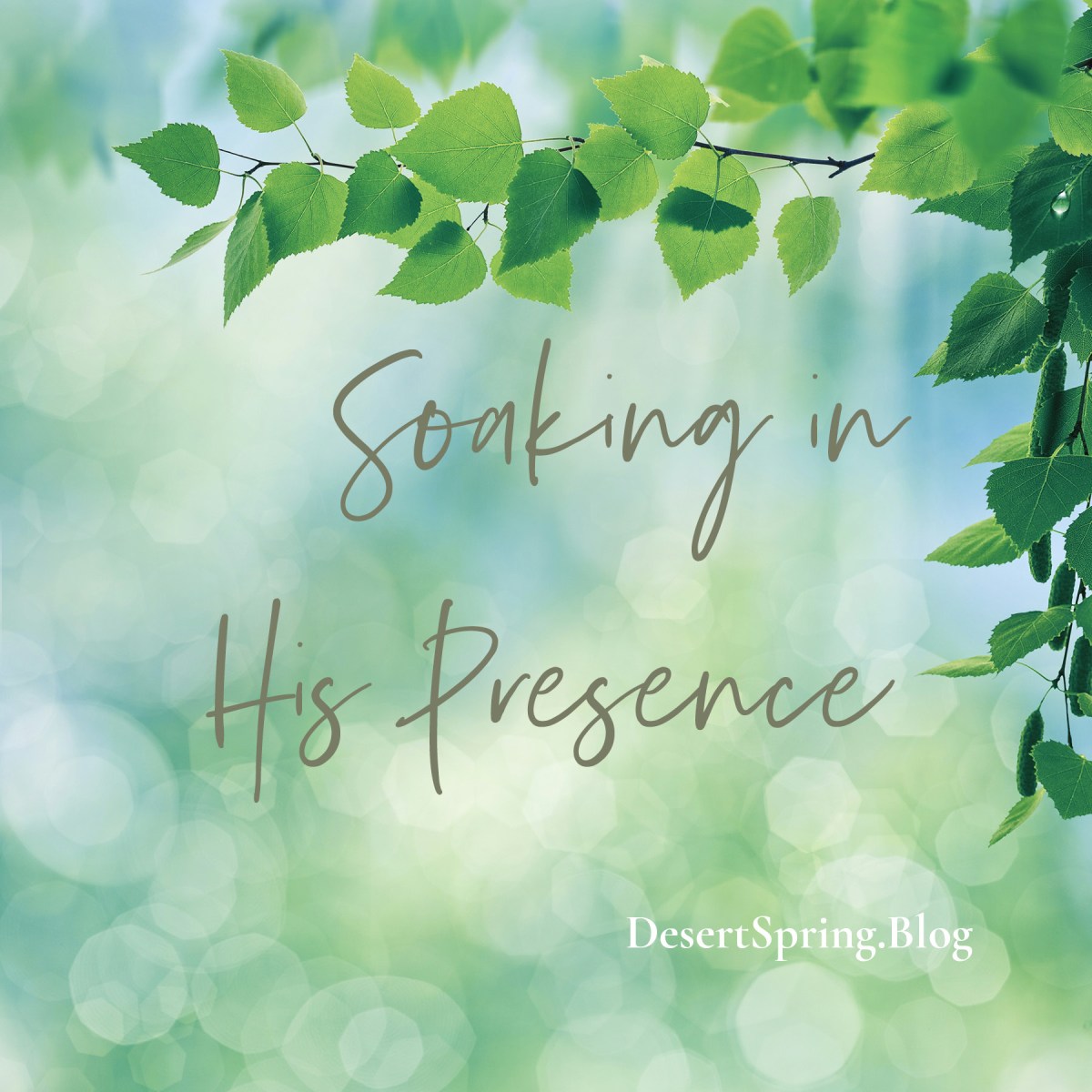 Soaking in His Presence